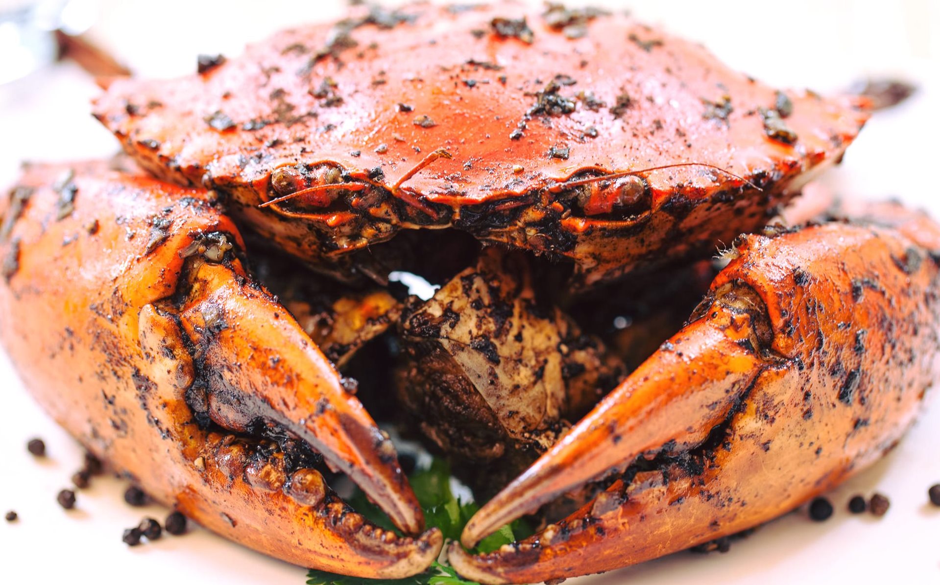 Red House Seafood Review by 8 Crabs Singapore